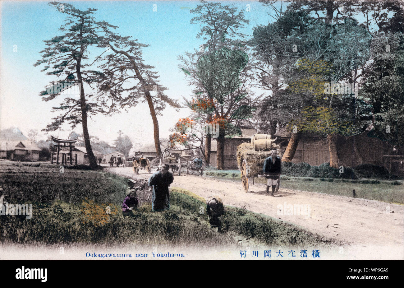 Farmer 1900s hi-res stock photography and images - Alamy