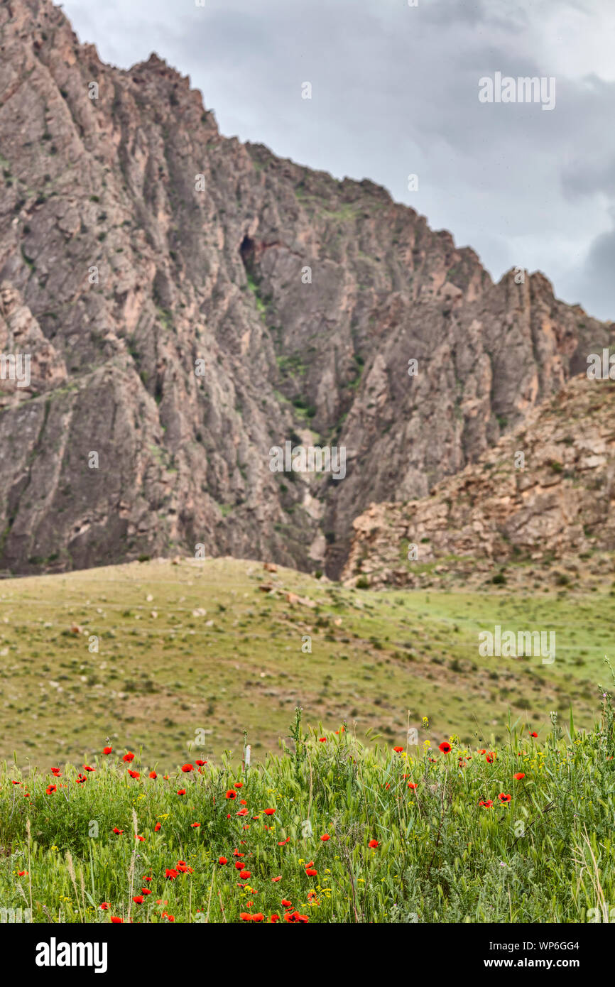 Aras river valley, Mountain landscape, West Azerbaijan Province, Iran ...
