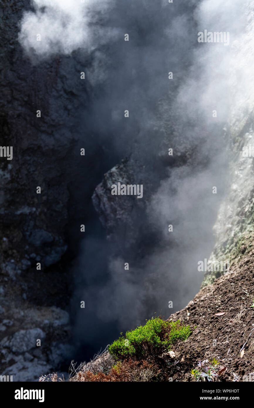 Detail of fumarole emitting gases and steam at the Jardim da Courela ...