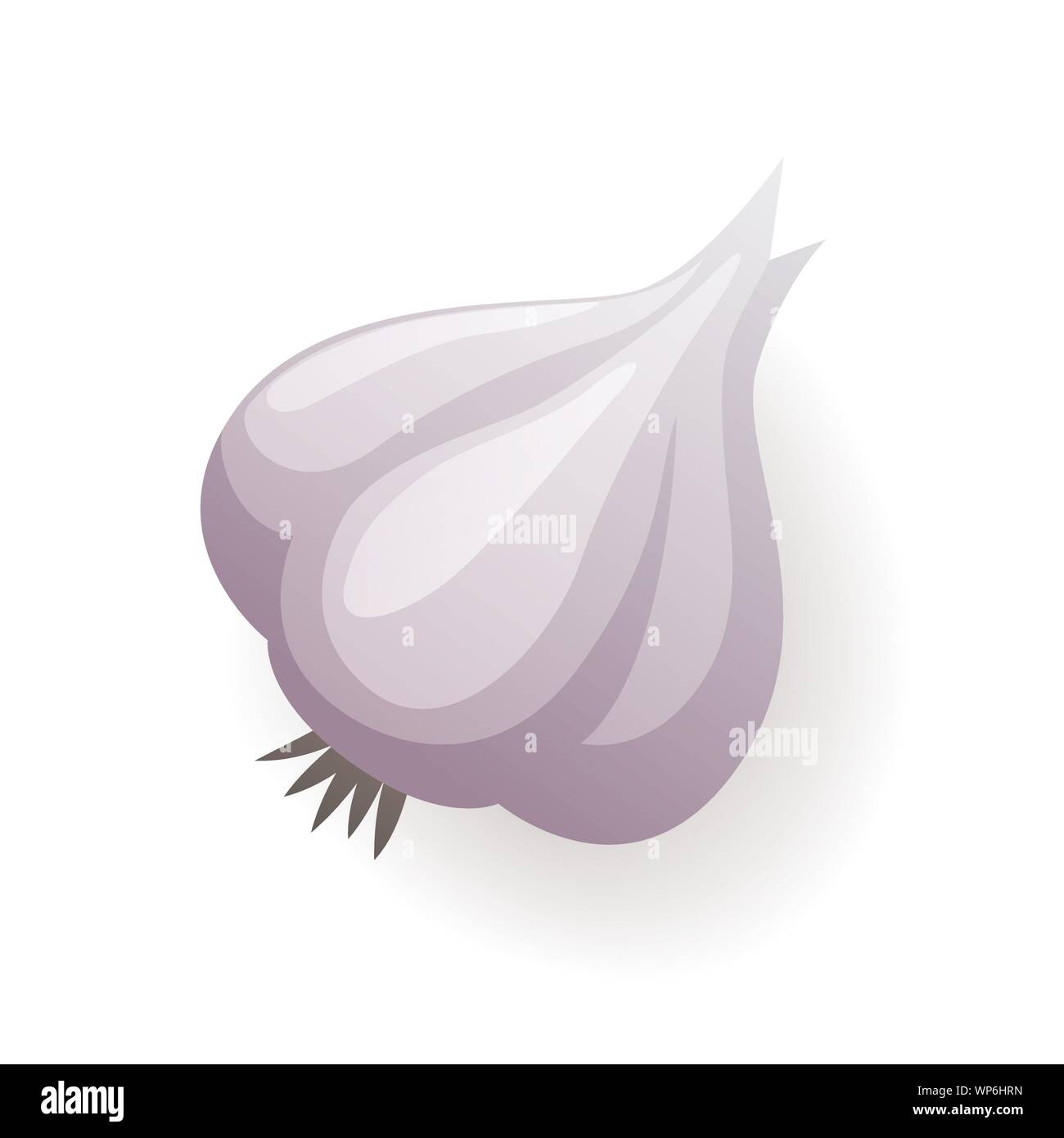 Garlic icon isolated on white background, organic healthy food, fresh ...