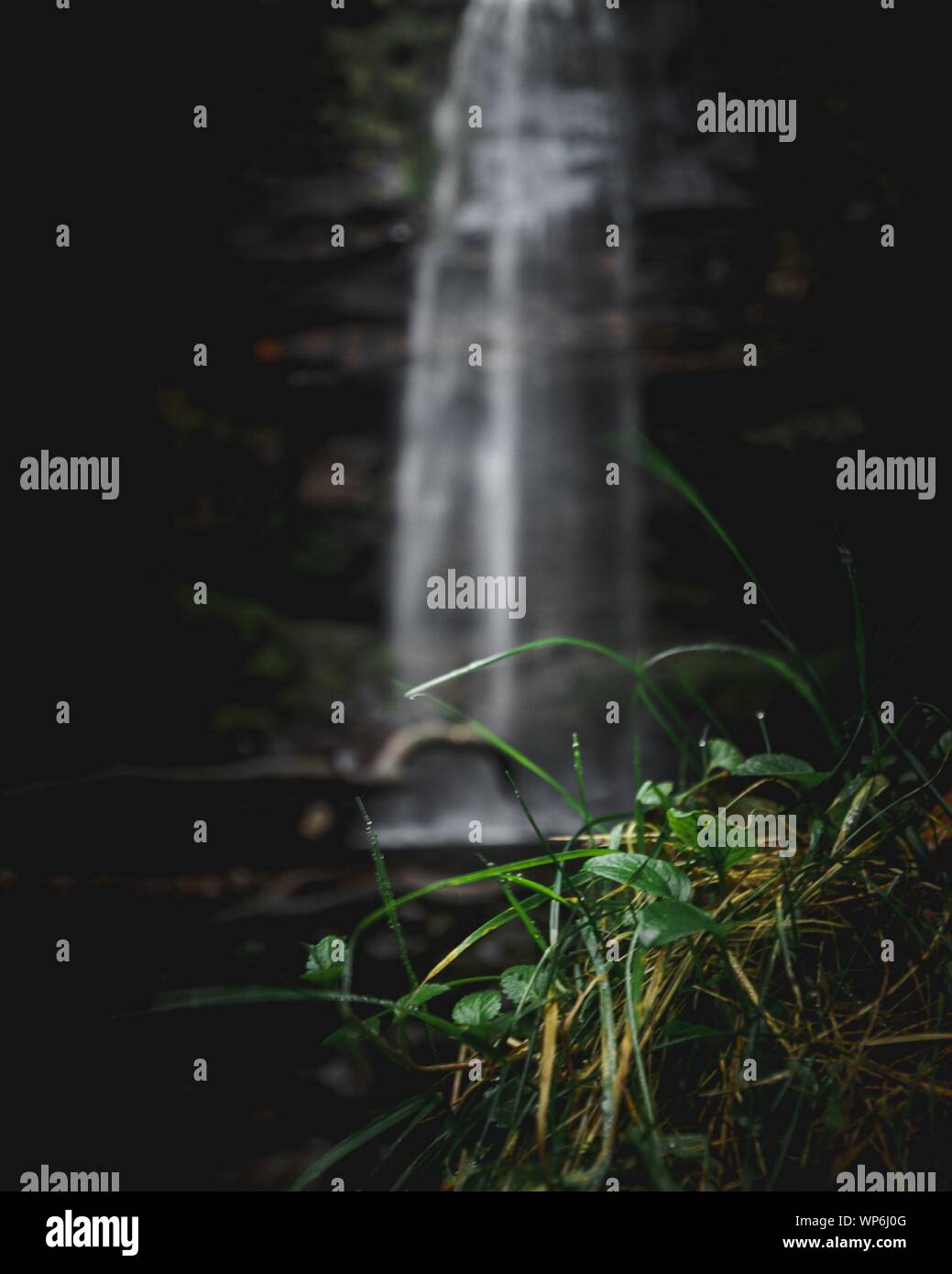 Trin tracks hi-res stock photography and images - Alamy