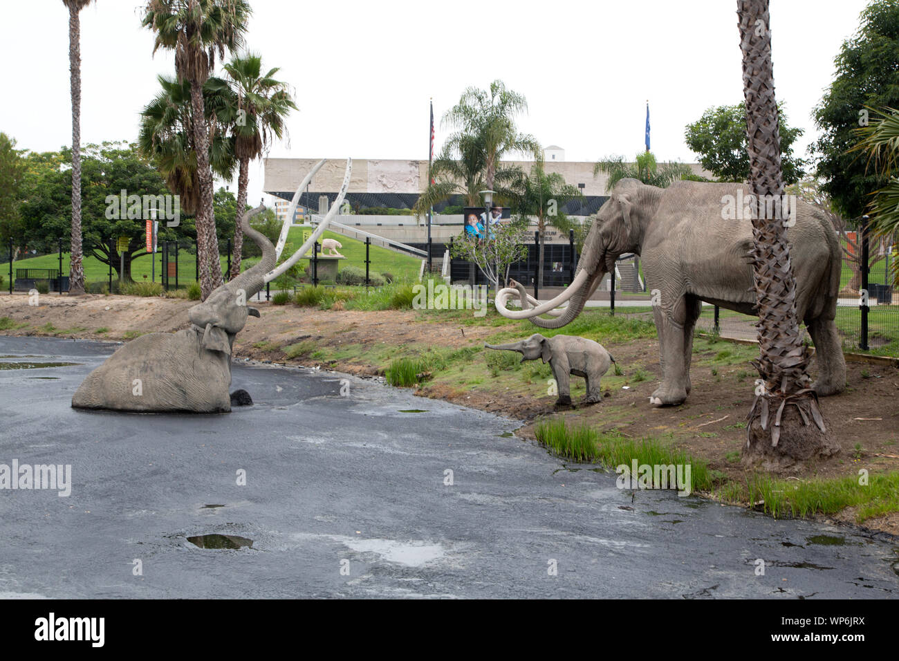 La Brea Tar Pits, Los Angeles, California Stock Photo - Alamy