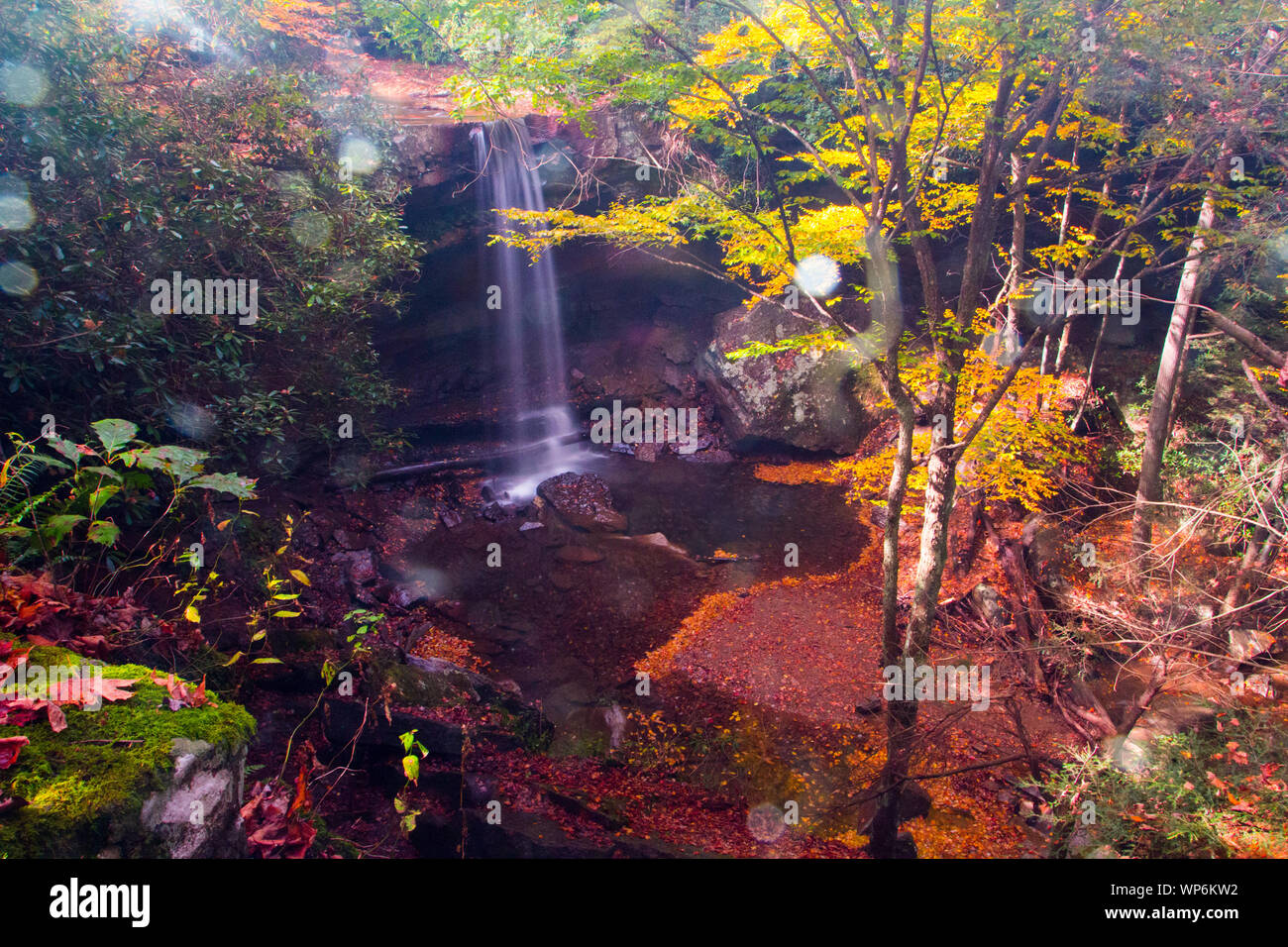 Cucumber Falls, Ohiopyle State Park, Pennsylvania Stock Photo - Alamy