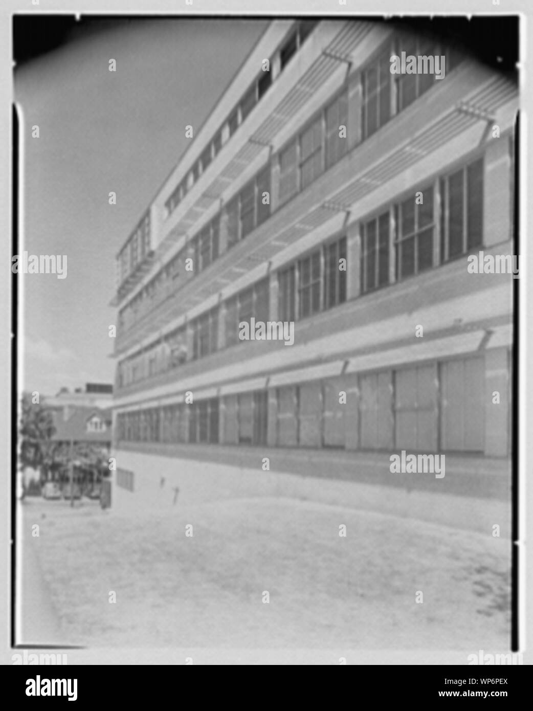 Laboratory of Nuclear Studies, Cornell University, Ithaca, New York ...
