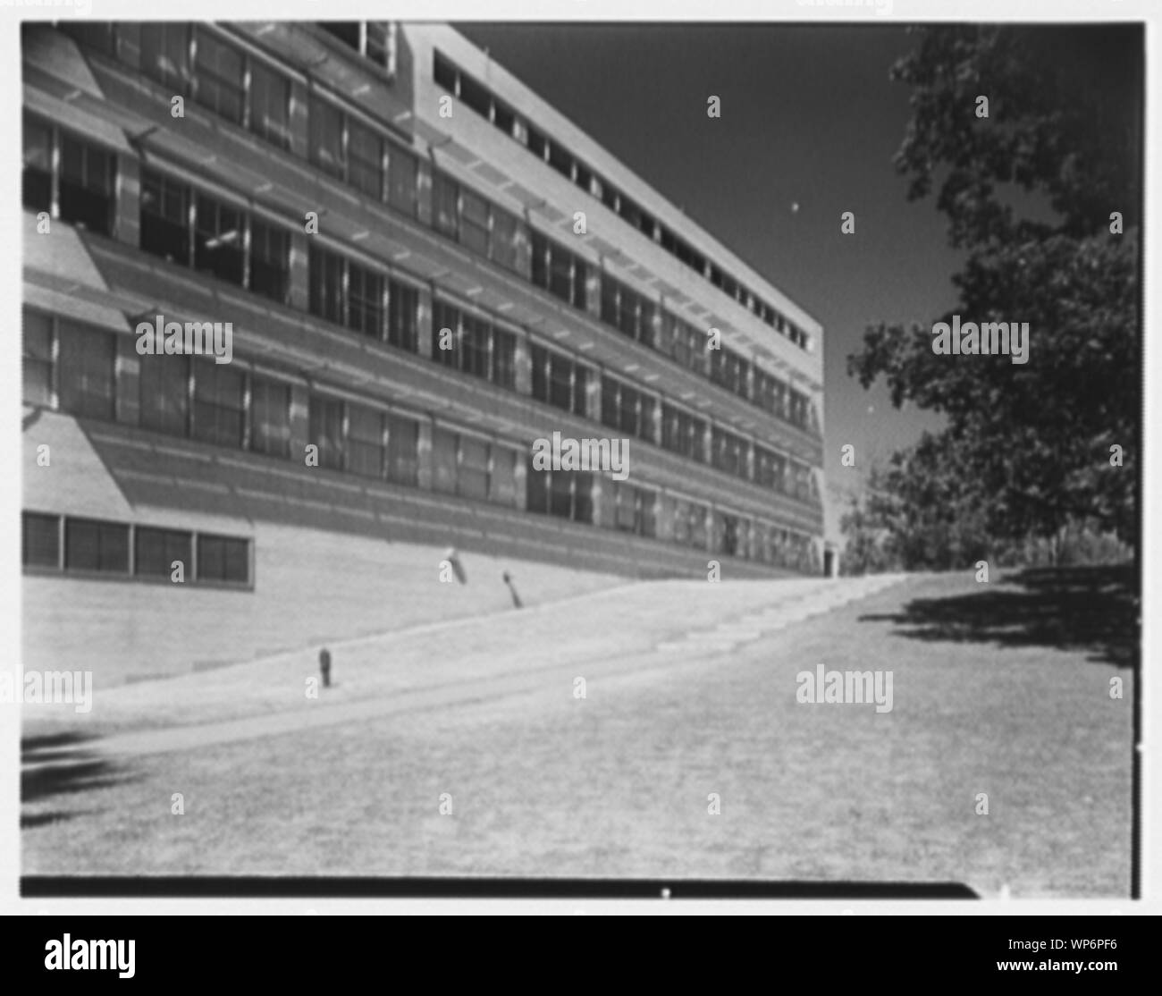 Laboratory of Nuclear Studies, Cornell University, Ithaca, New York ...