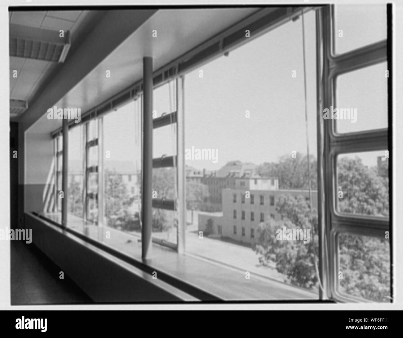 Laboratory of Nuclear Studies, Cornell University, Ithaca, New York ...