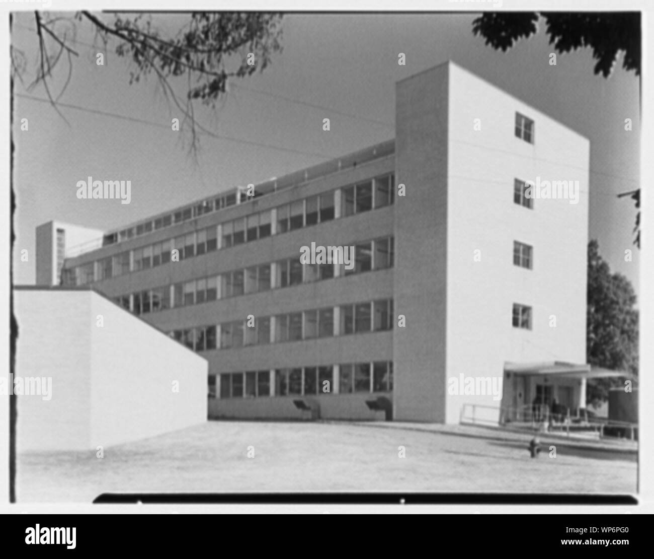 Laboratory of Nuclear Studies, Cornell University, Ithaca, New York ...