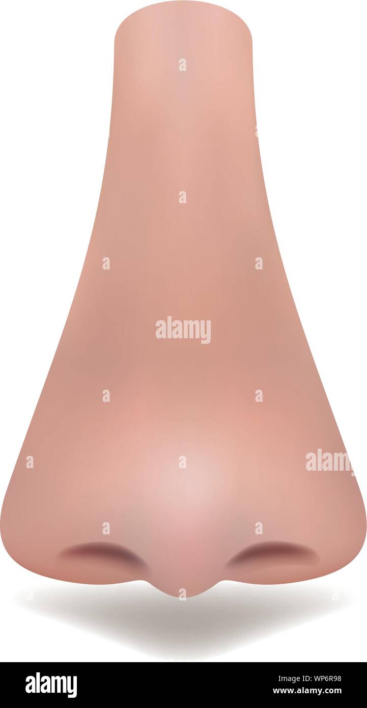 Realistic vector nose on white background Stock Vector Image & Art - Alamy