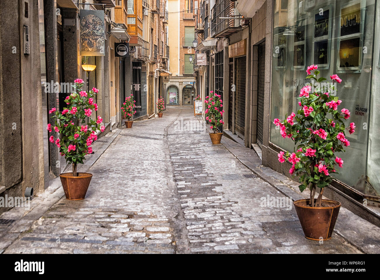 Winding Cobblestone Road