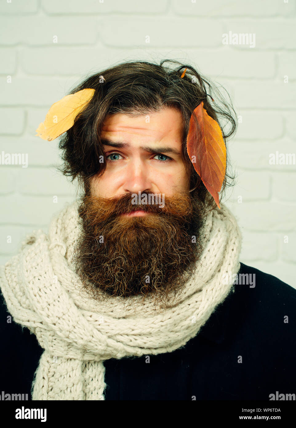 Season and holiday. Autumn sad man hold leaf at face. Hairdresser and ...