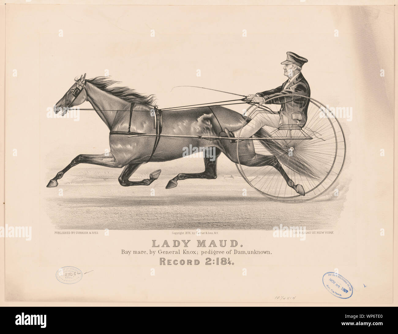 Lady Maud: bay mare, by General Knox; pedigree of dam, unknown Stock ...