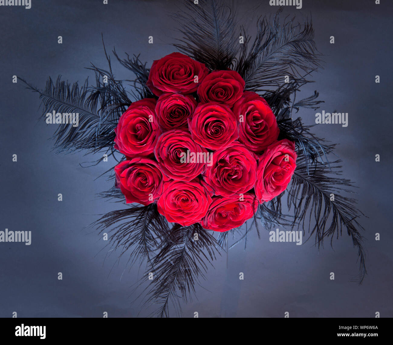 Dozen red roses bouquet hi-res stock photography and images - Alamy