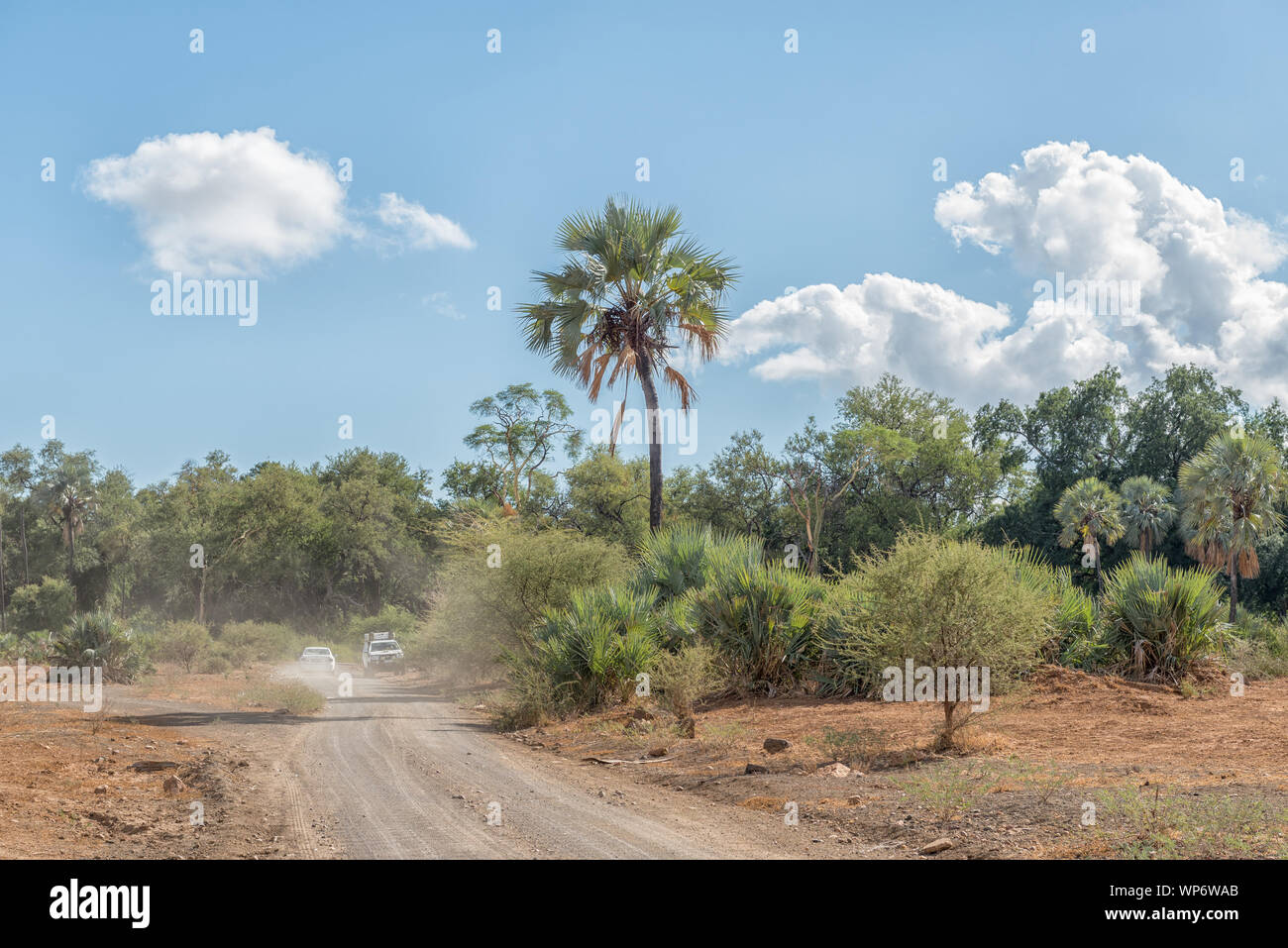 KRUGER NATIONAL PARK, SOUTH AFRICA - MAY 15, 2019: The landscape on the ...