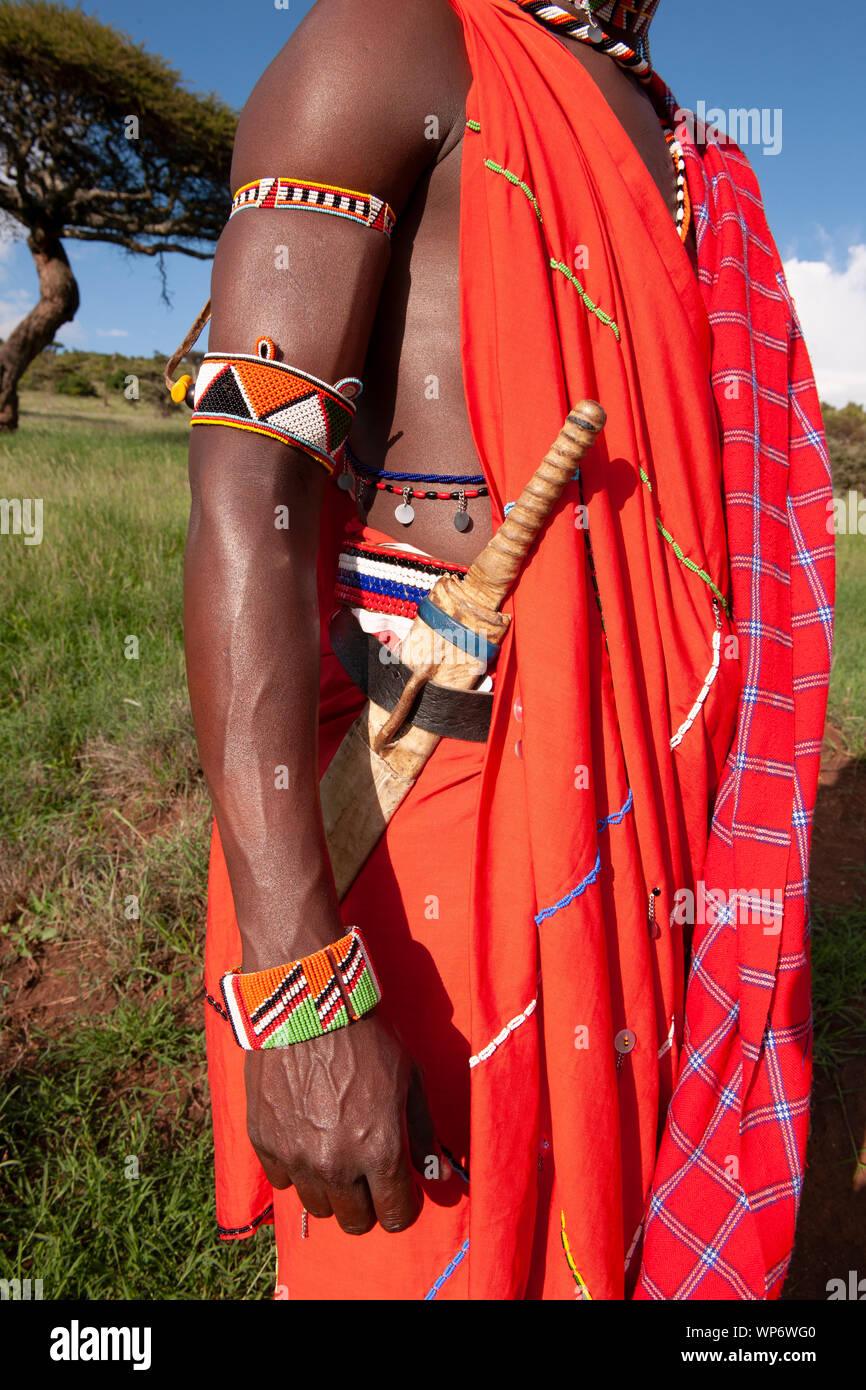 MASAI GUIDE WILLIAM KIPSOI ON PART OF THE STUNNING 62,000 ACRE LEWA ...