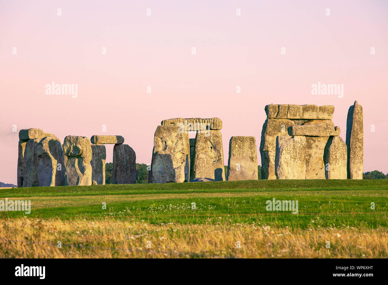 Stonehenge, warm pink sky, green summer meadow. Prehistoric monument in ...