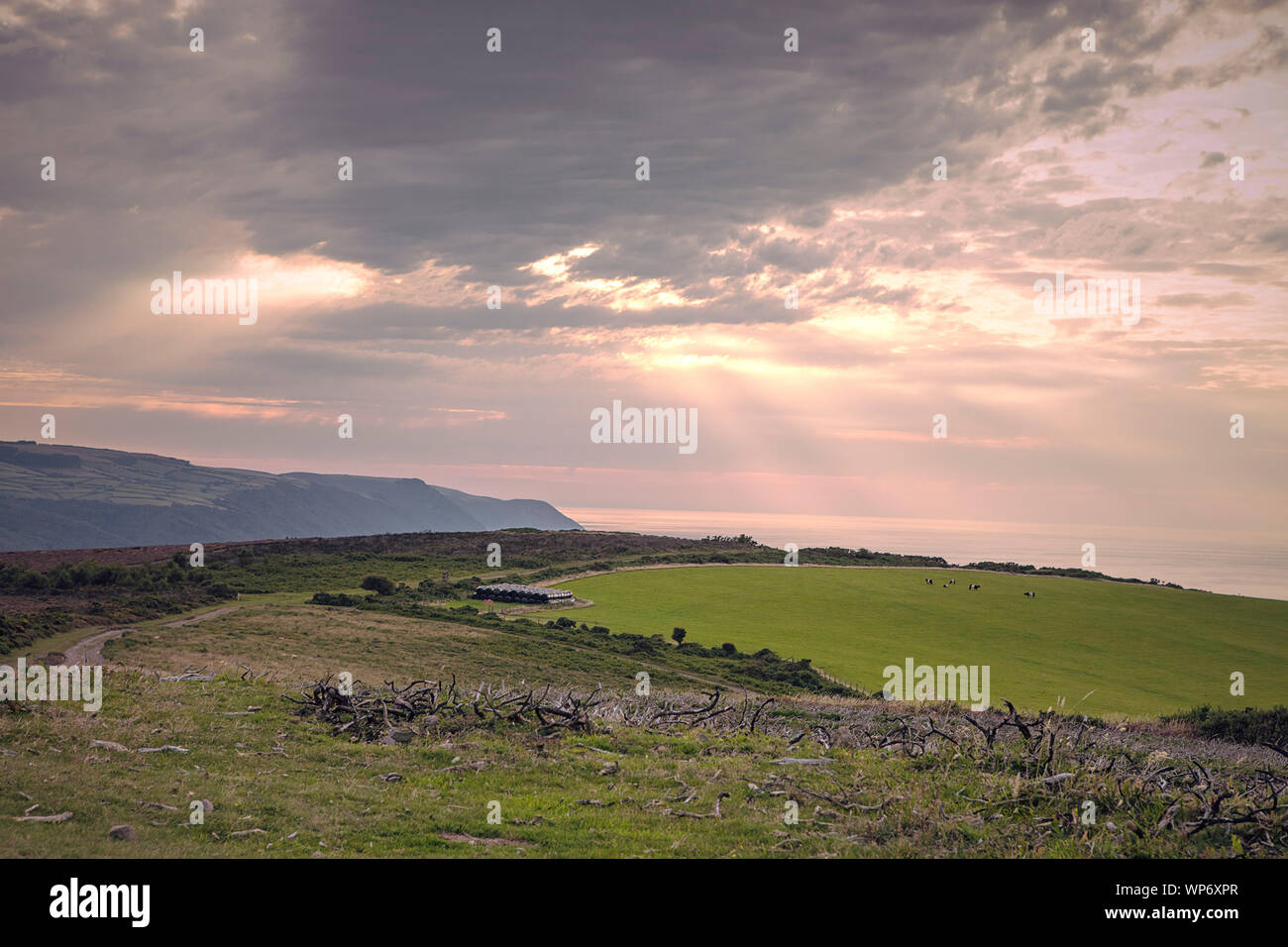 Scenic Somerset coast. Countryside, English landscape. Summer sunset ...
