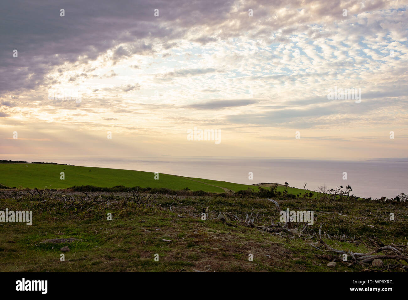 Evening cloudy sky over scenic Somerset coast. Summer Rural English ...