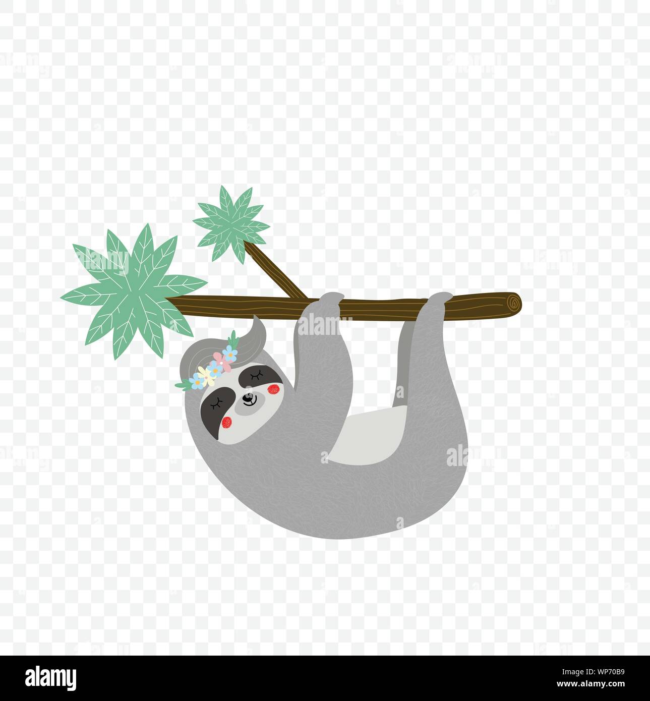 Cute lazy sloth hanging on tree branch isolated on transparent ...