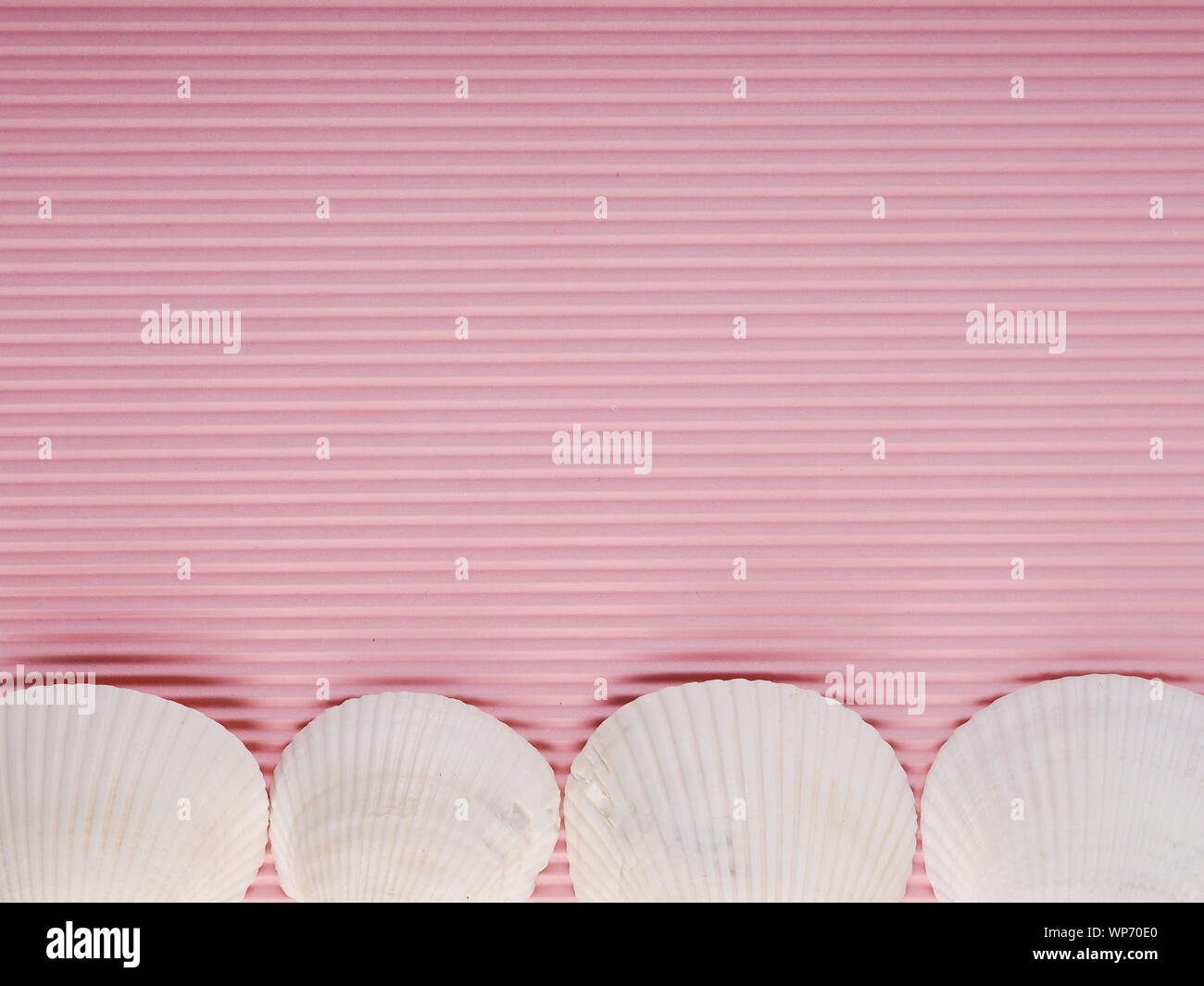 Corrugated shell hi-res stock photography and images - Alamy
