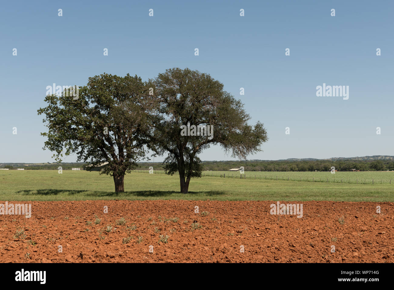 Land ready for cultivation on the grounds of the Lyndon B. Johnson ...
