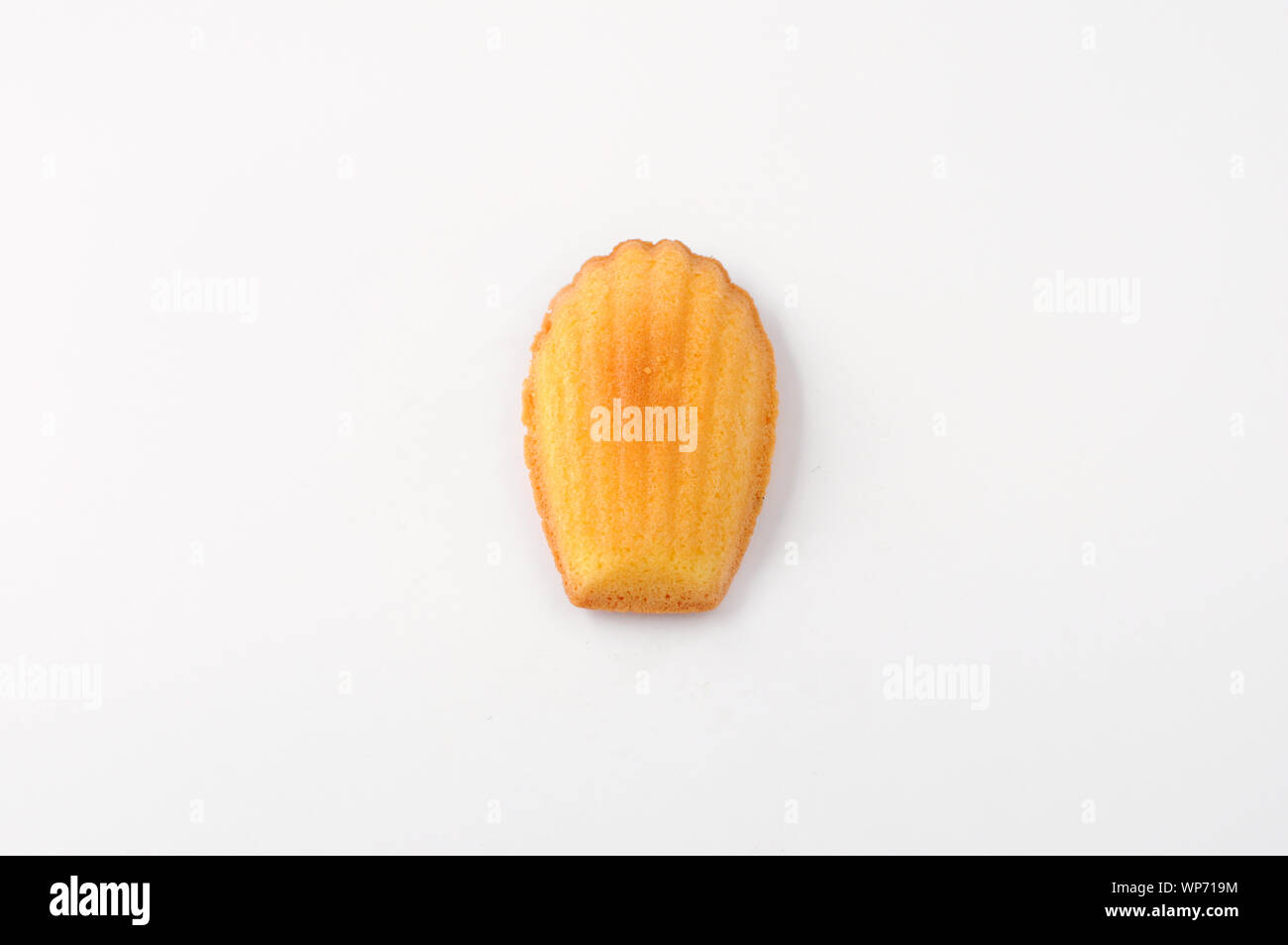 madeleine french pastry closeup isolated on white background Stock ...