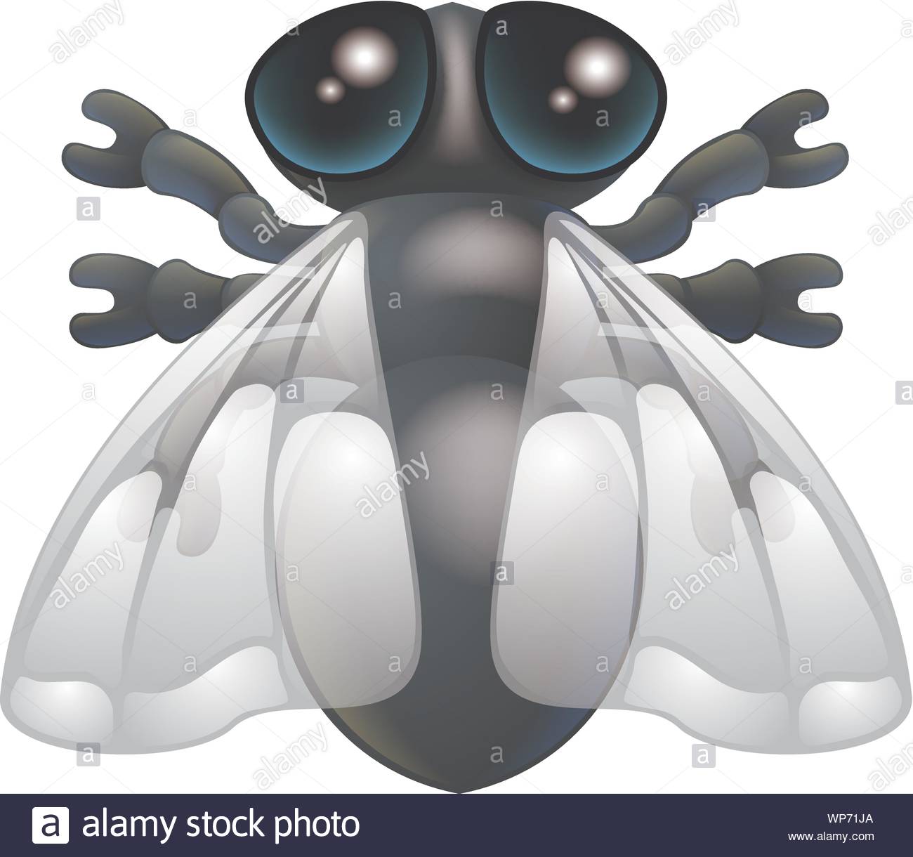 Cartoon Illustration Funny Fly Housefly High Resolution Stock ...
