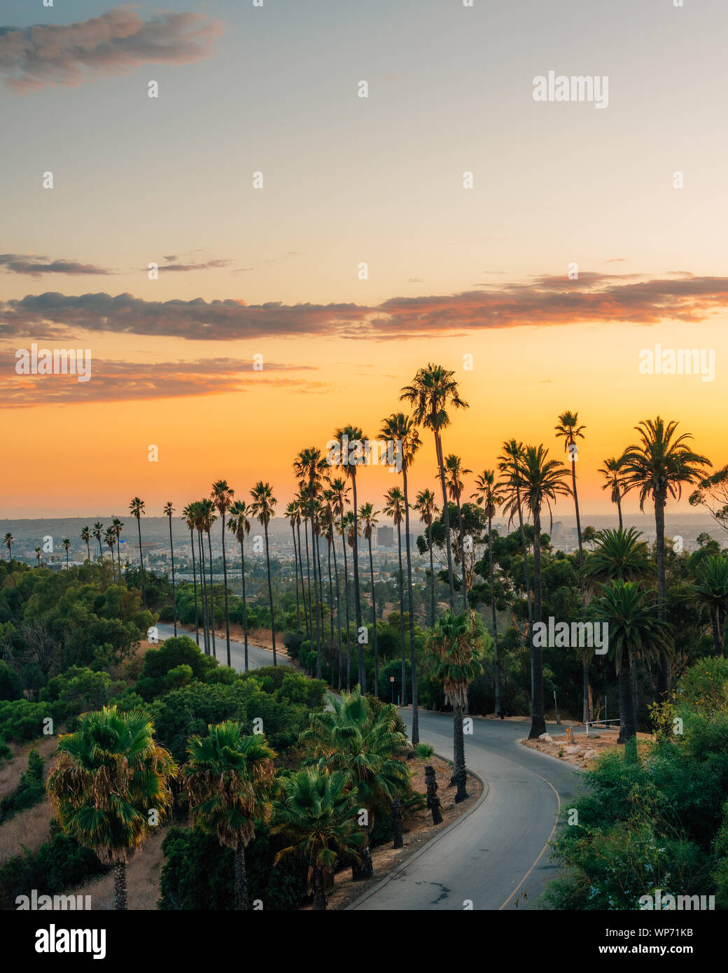 Elysian Park High Resolution Stock Photography and Images - Alamy