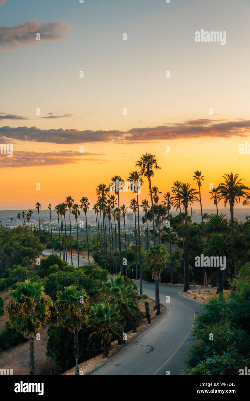 Elysian park hi-res stock photography and images - Alamy