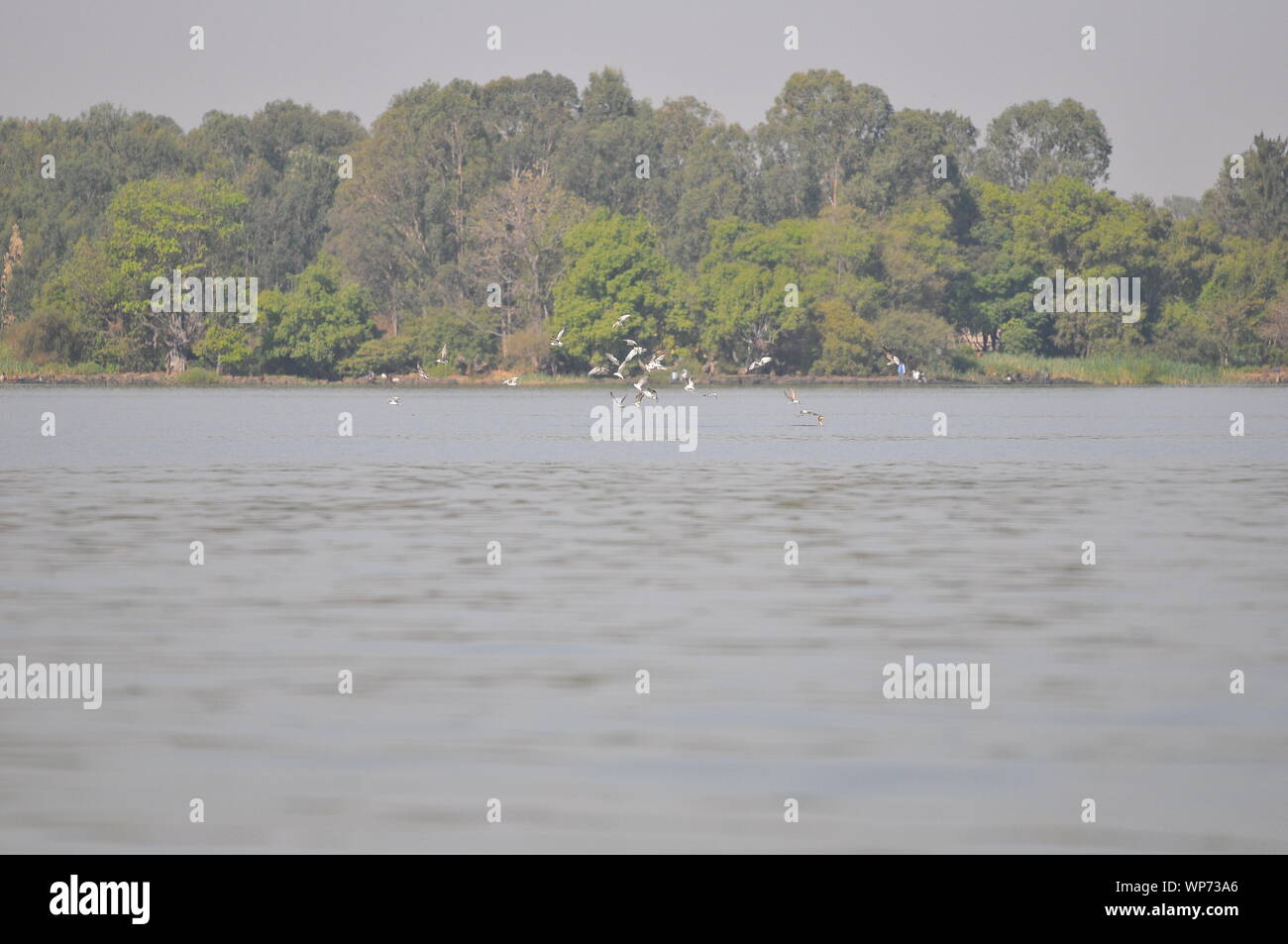 The Tana lake Stock Photo - Alamy
