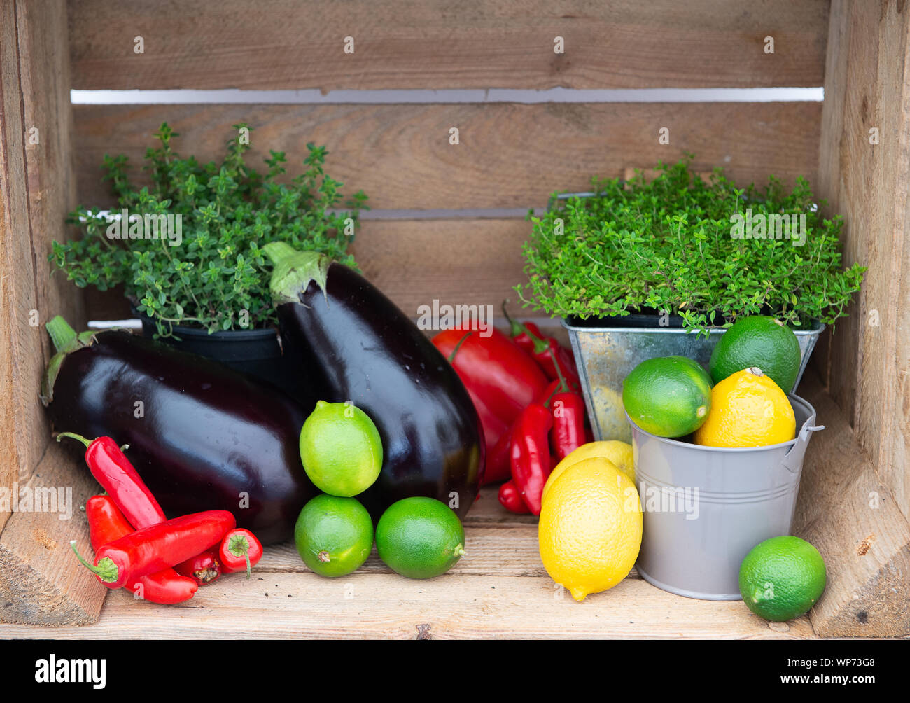 Italian Tourist Board Festival of Food and Wine, Ascot Racecourse ...
