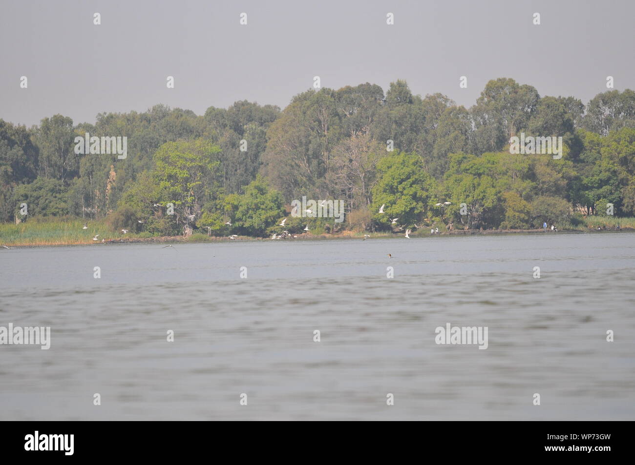 The Tana lake Stock Photo - Alamy