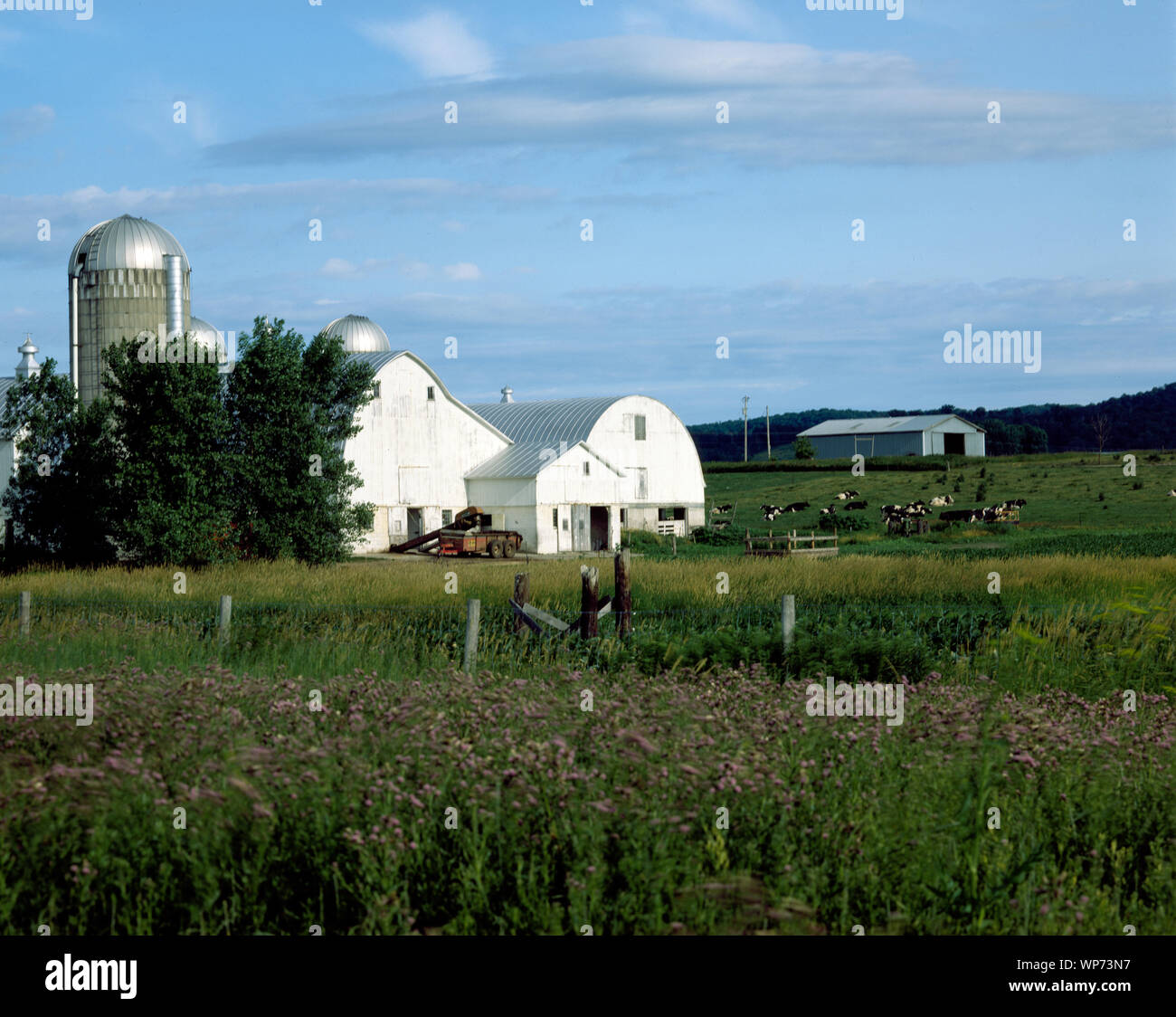 Large working farm in rural America Stock Photo - Alamy