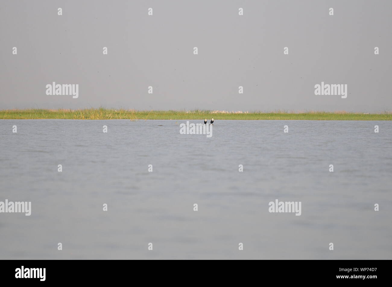 The Tana lake Stock Photo - Alamy