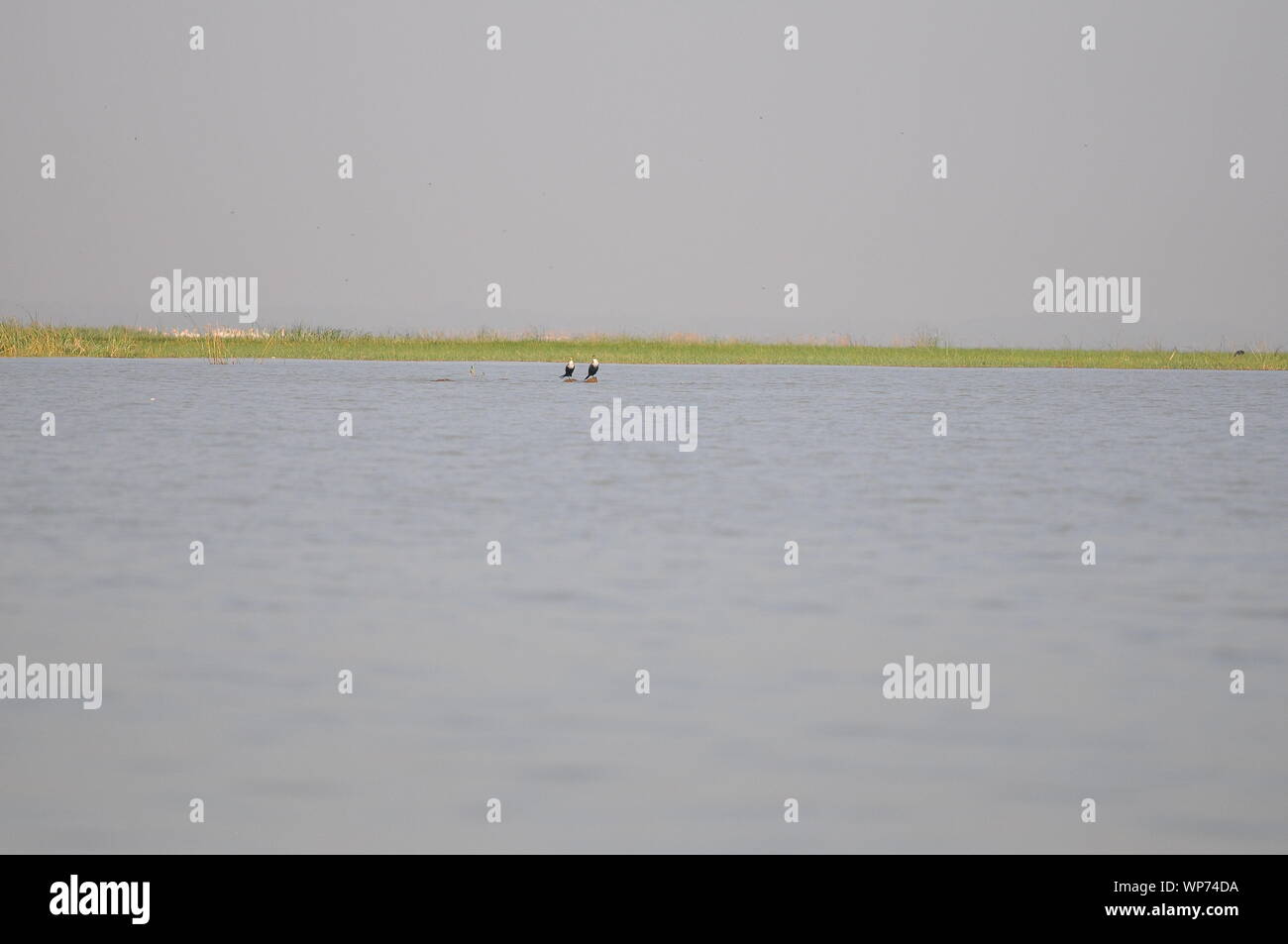 The Tana lake Stock Photo - Alamy