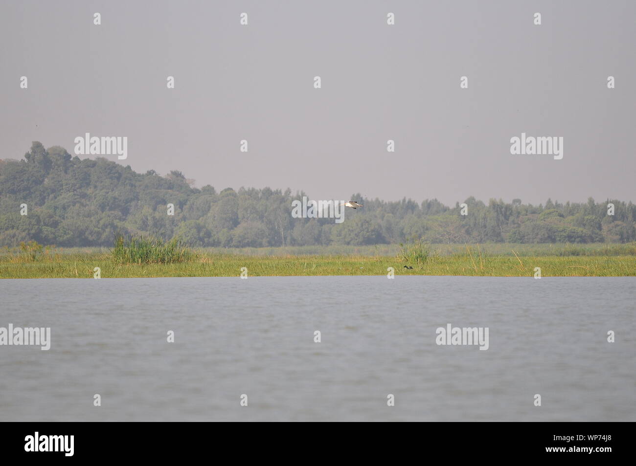 The Tana lake Stock Photo - Alamy