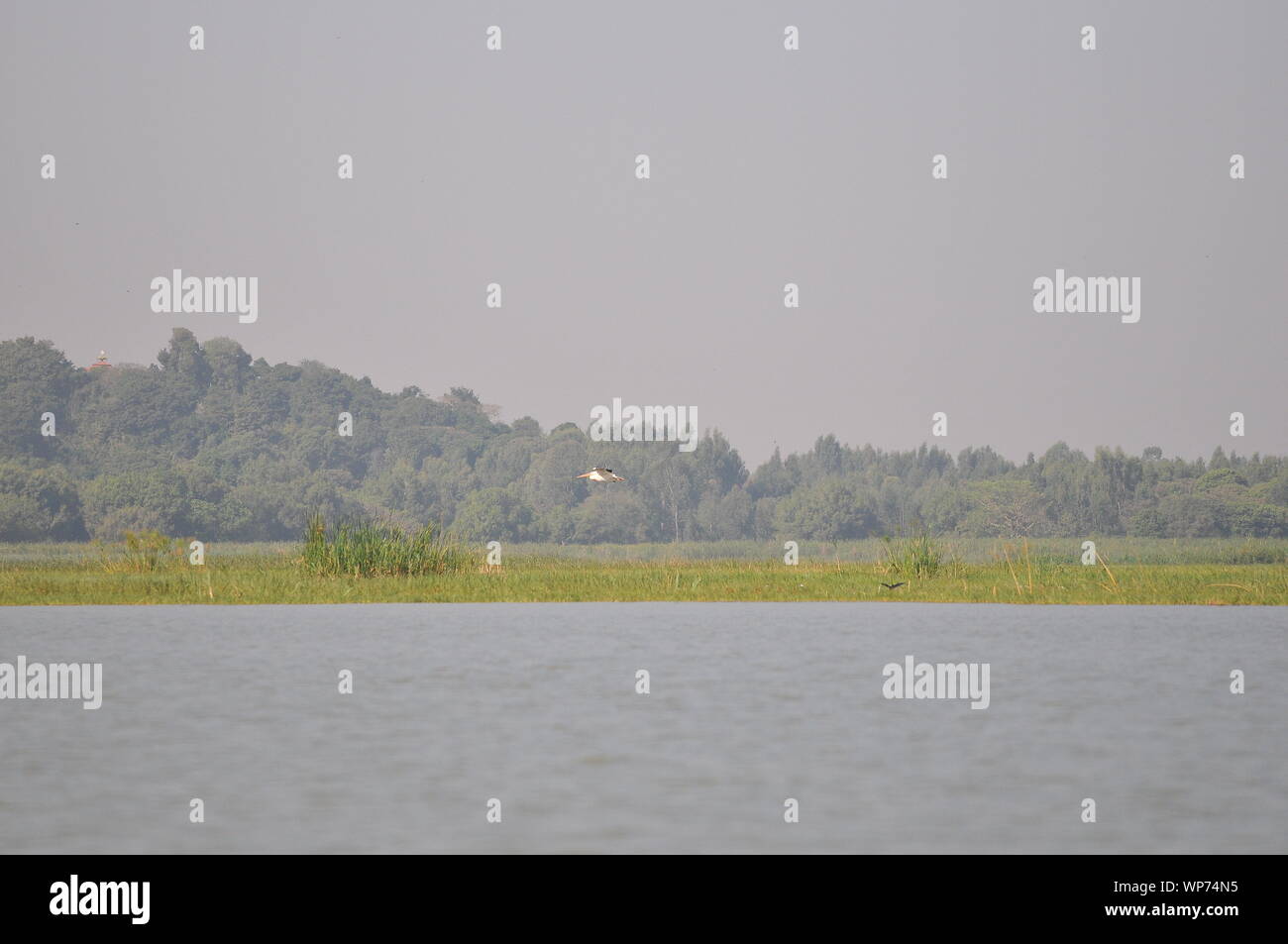 The Tana lake Stock Photo - Alamy