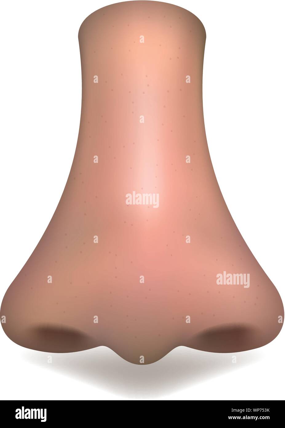 Realistic vector nose on white background Stock Vector Image & Art - Alamy