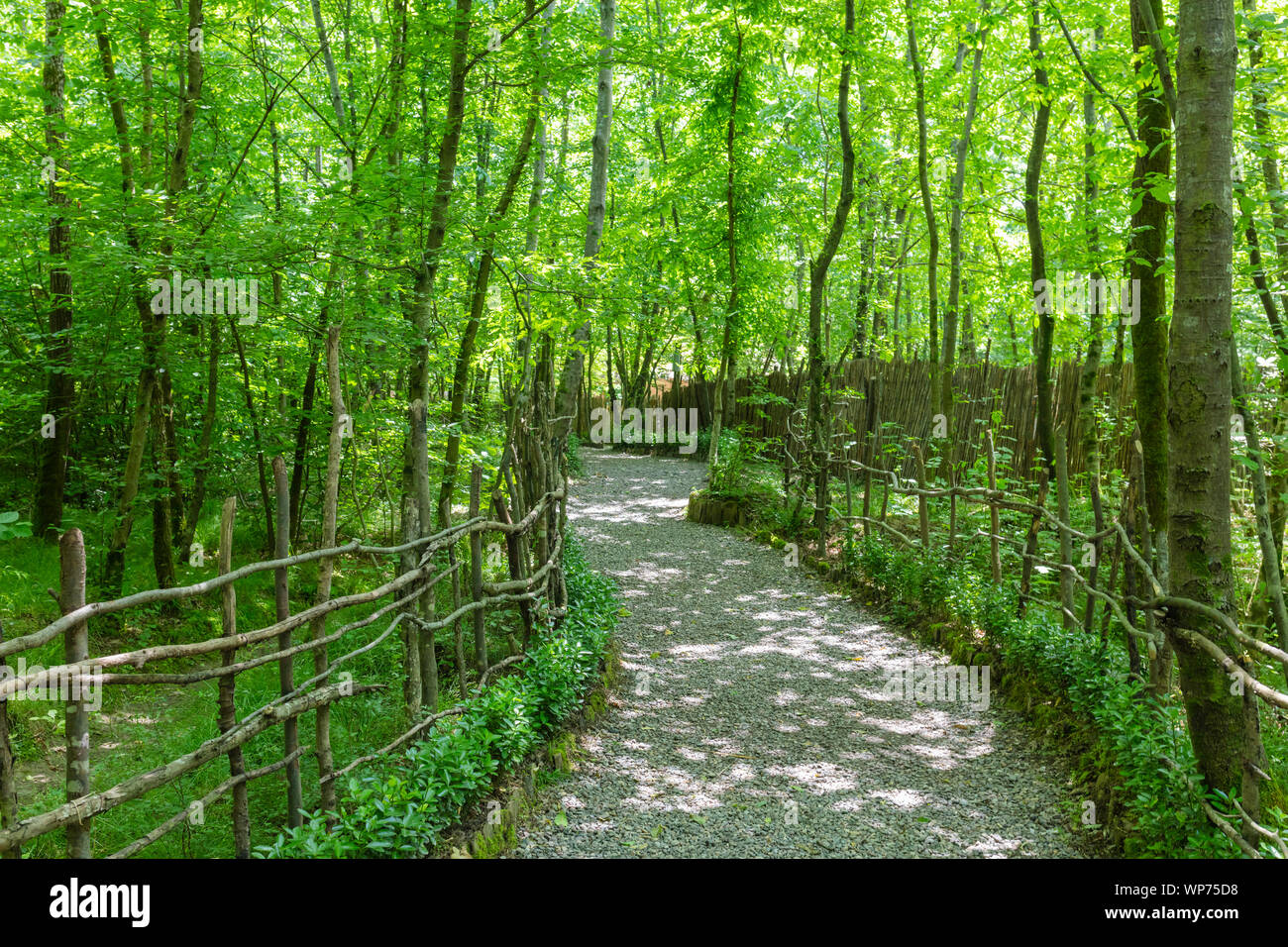 Rasht county hi-res stock photography and images - Alamy