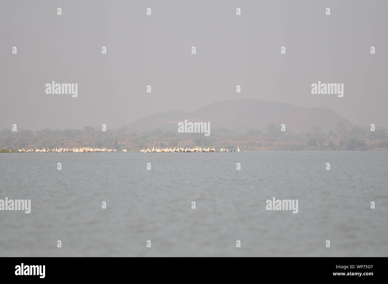 The Tana lake Stock Photo - Alamy