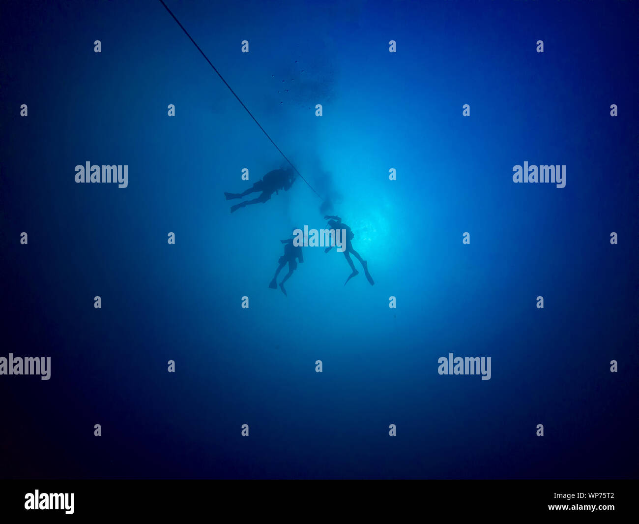 Silhouettes of scuba divers on an ascent line Stock Photo - Alamy