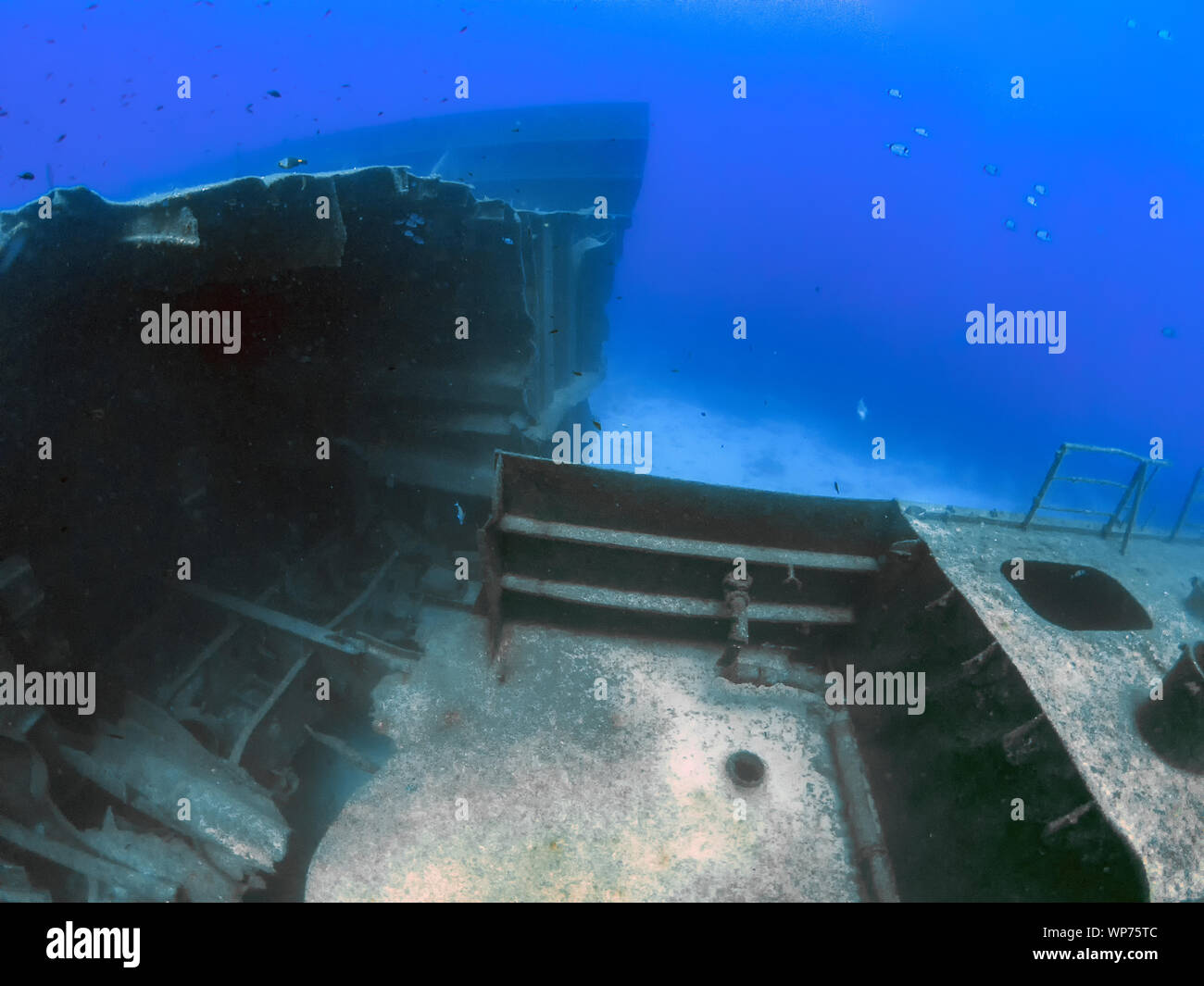 The wreck of the Um El Faroud off the coast of Malta Stock Photo - Alamy