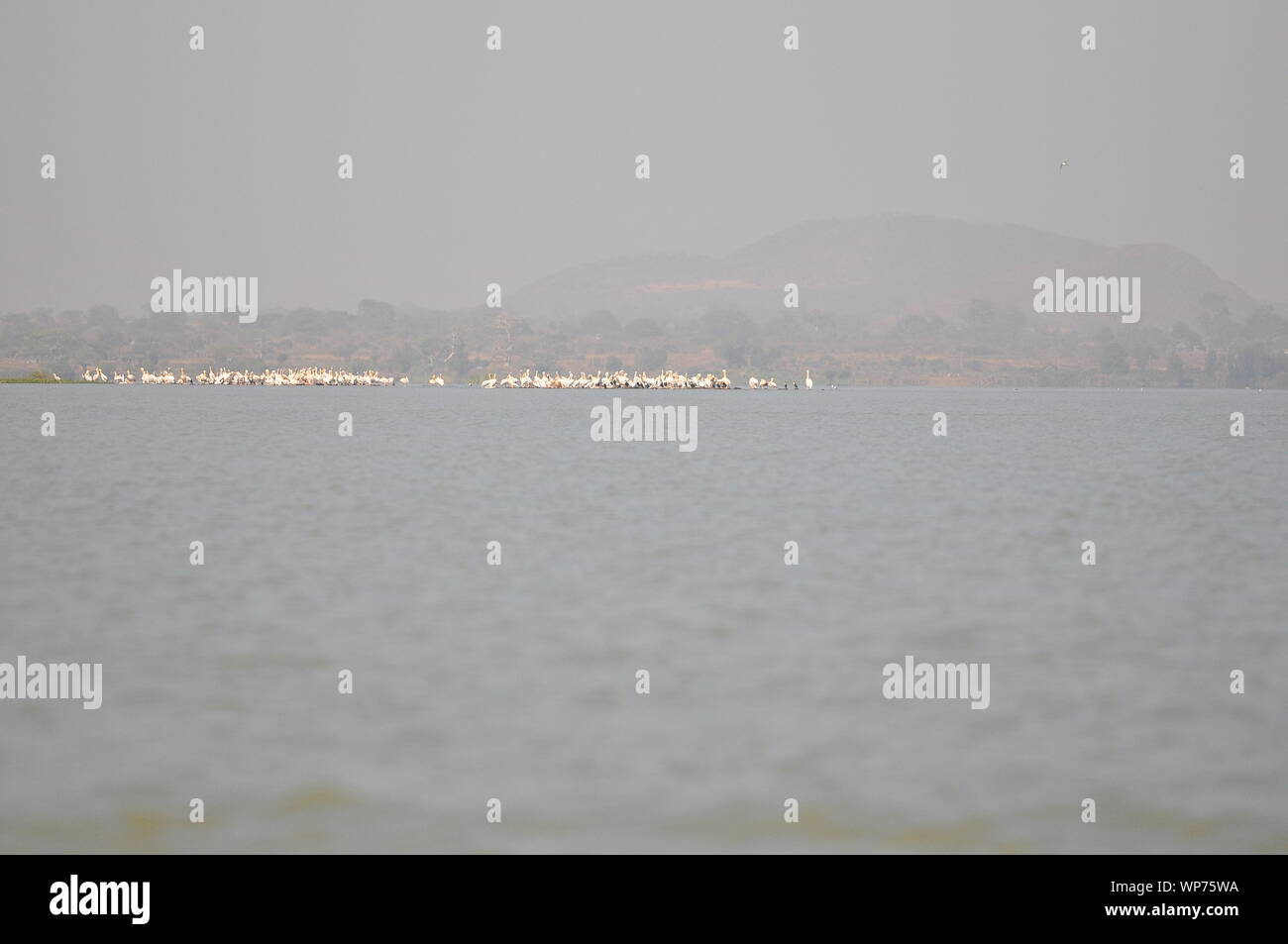 The Tana lake Stock Photo - Alamy