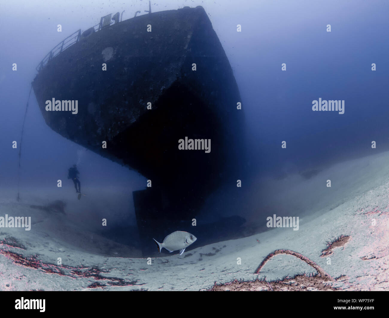 The wreck of the Um El Faroud off the coast of Malta Stock Photo - Alamy