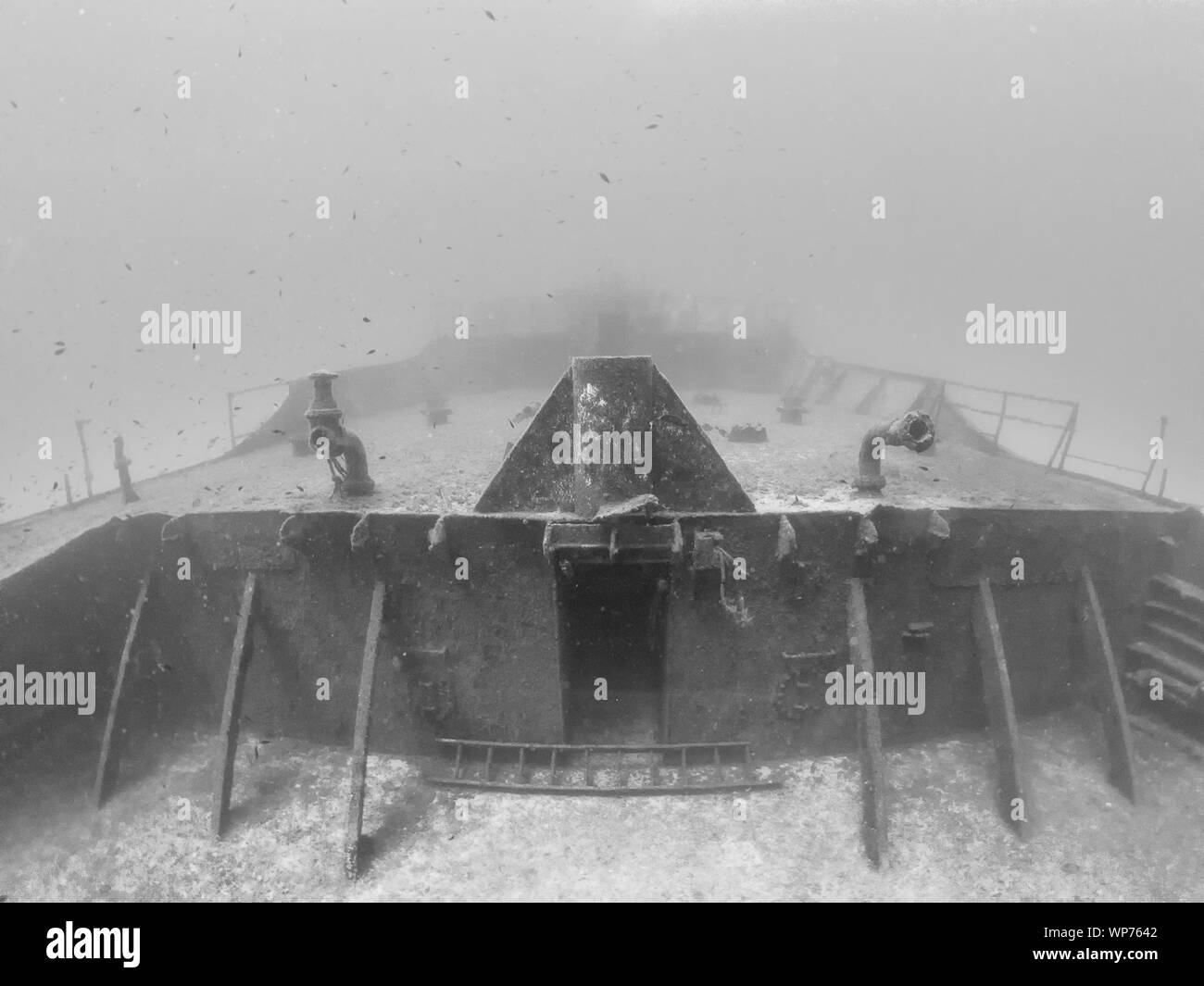 The wreck of the Um El Faroud off the coast of Malta Stock Photo - Alamy