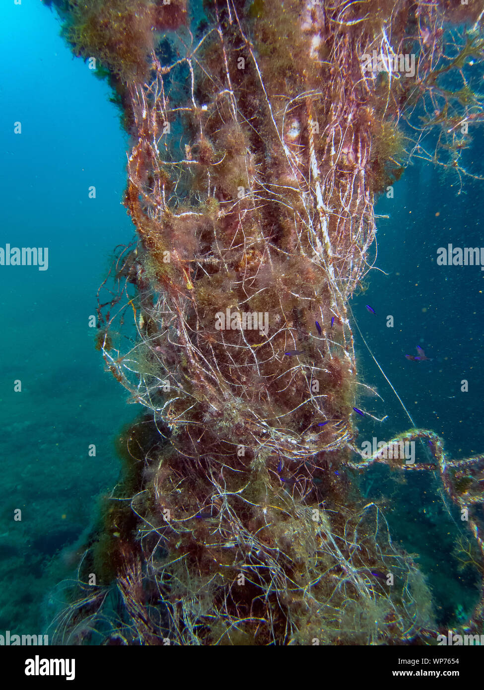 Underwater fishing nets hi-res stock photography and images - Alamy