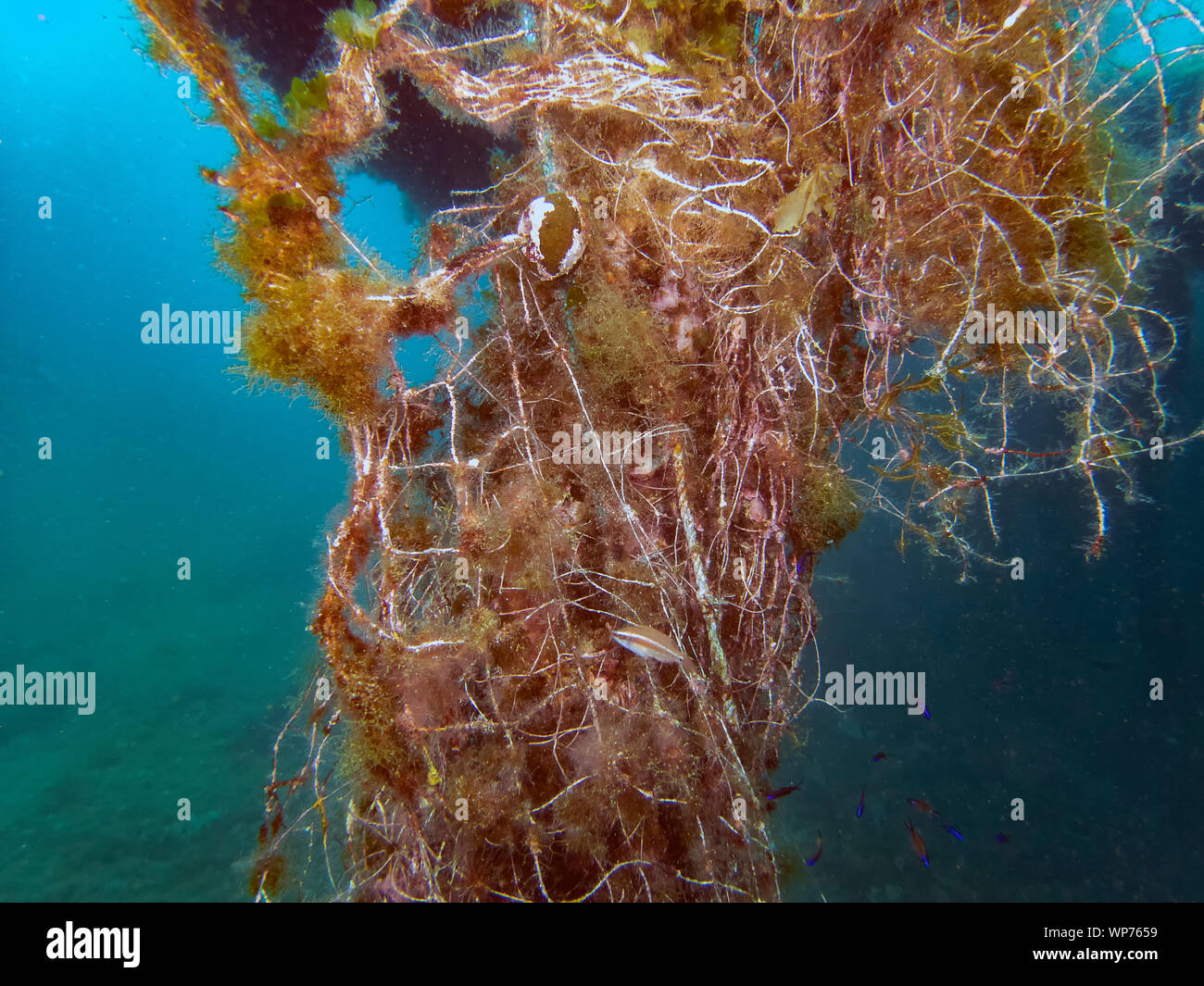 Old discarded fishing net hi-res stock photography and images - Alamy