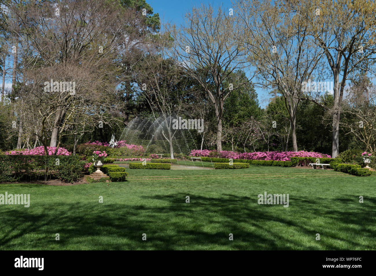 Late-winter garden at the Bayou Bend Collection and Gardens in the ...