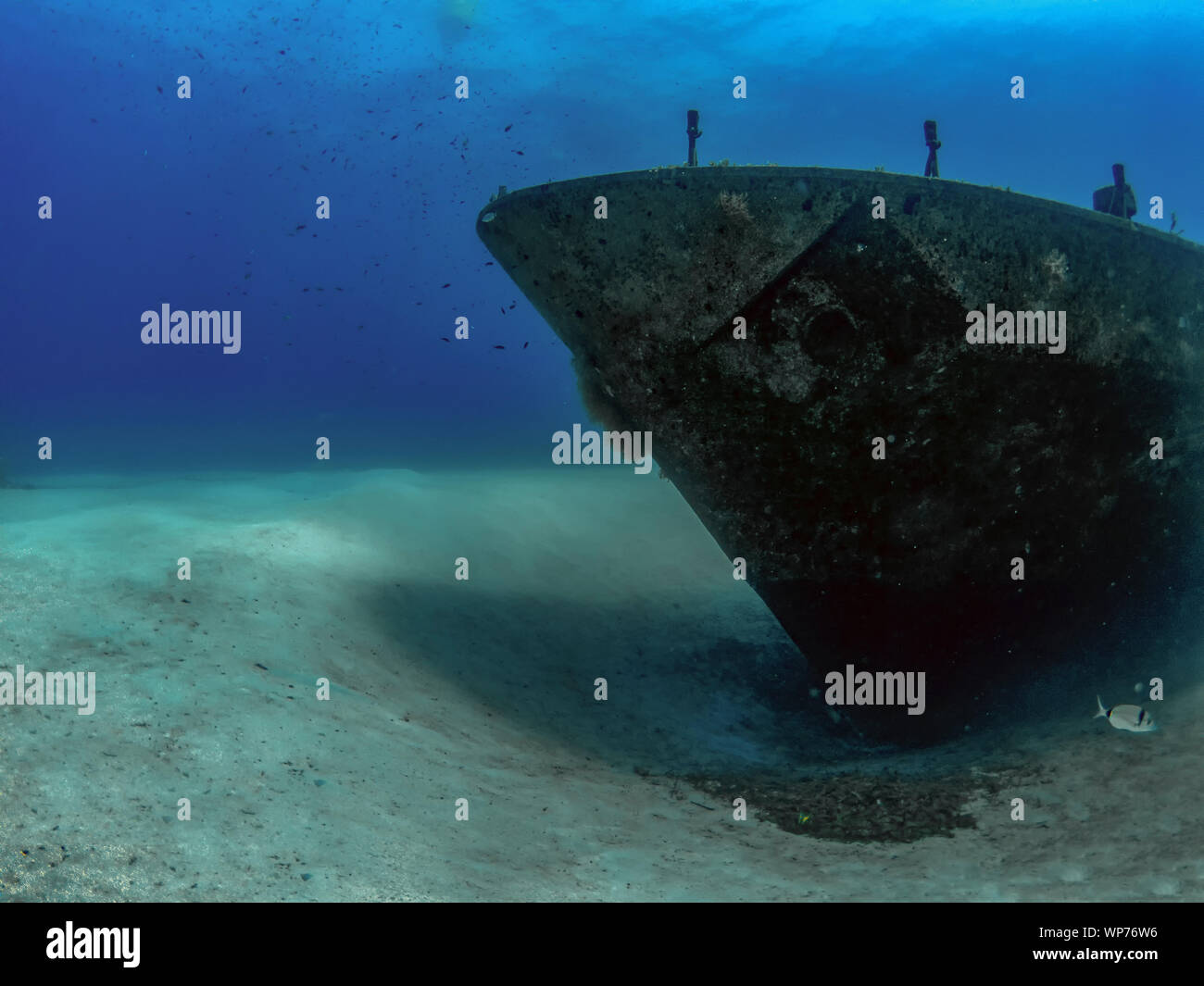 The wreck of the P31 Patrol Boat in Comino, Malta Stock Photo - Alamy