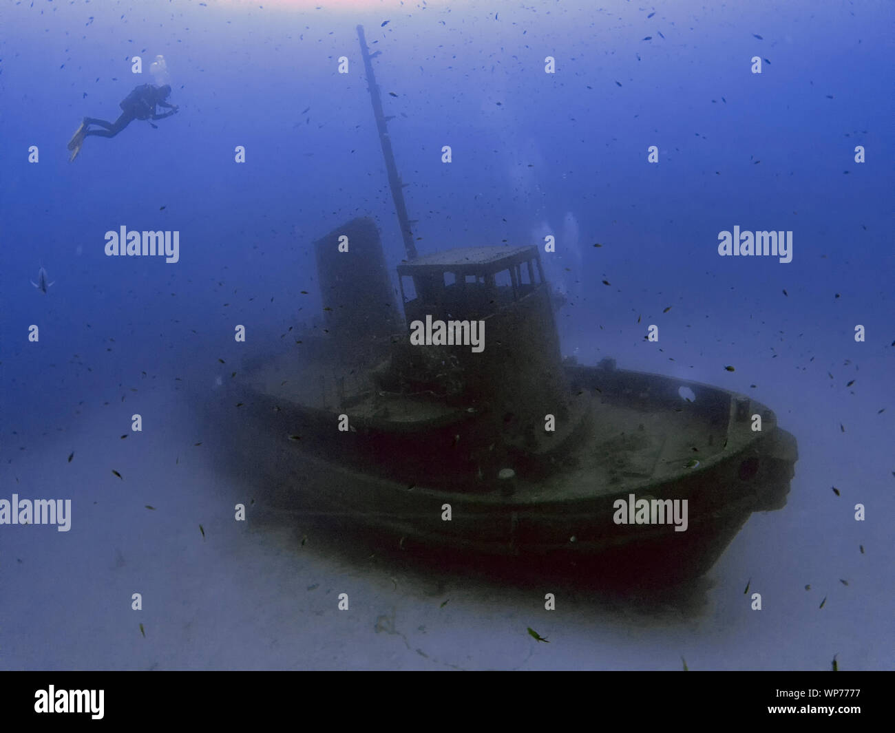 Ship wreck tugboat in hi-res stock photography and images - Alamy