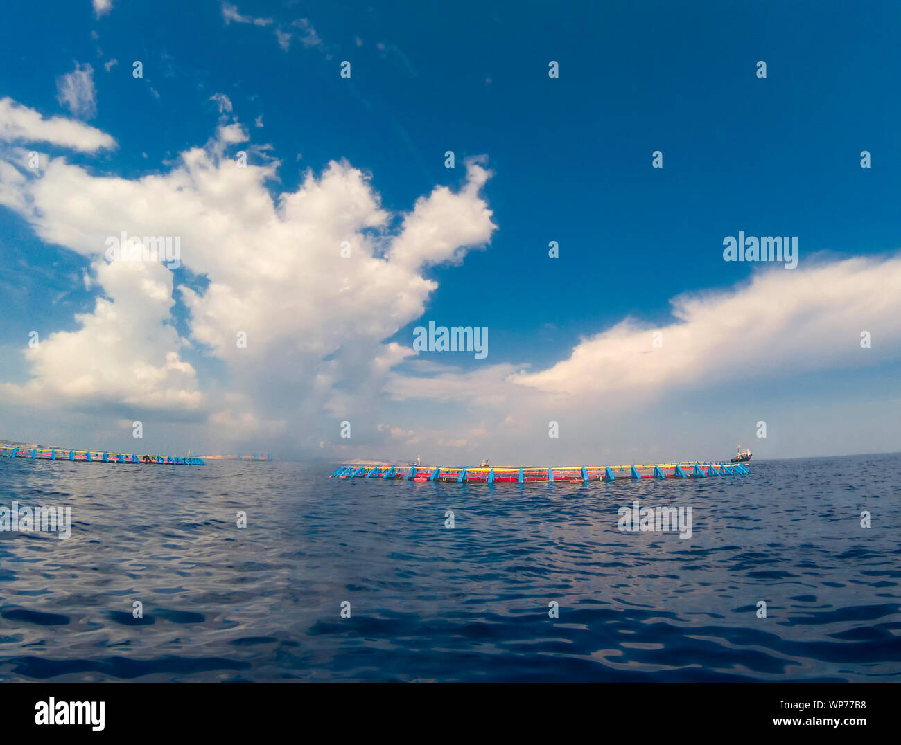 Tuna farm aquaculture hi-res stock photography and images - Alamy